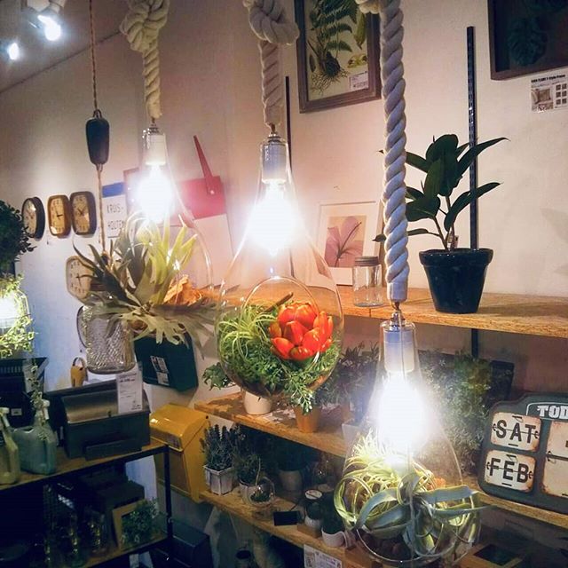 interior shop BICASA - BICASA-SHOP